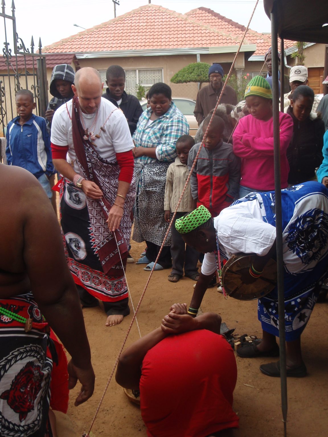 About – Bone Seed Wisdom